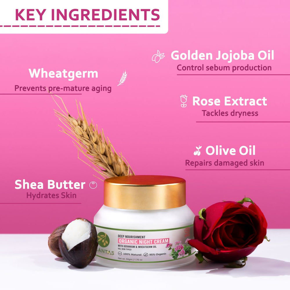 Buy Natural & Organic Night Cream For Deep Nourishment 50g | Plantas Care